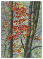 Galerie :: Akvarely pro radost